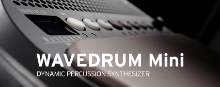 Drums & Percussion | KORG (USA)